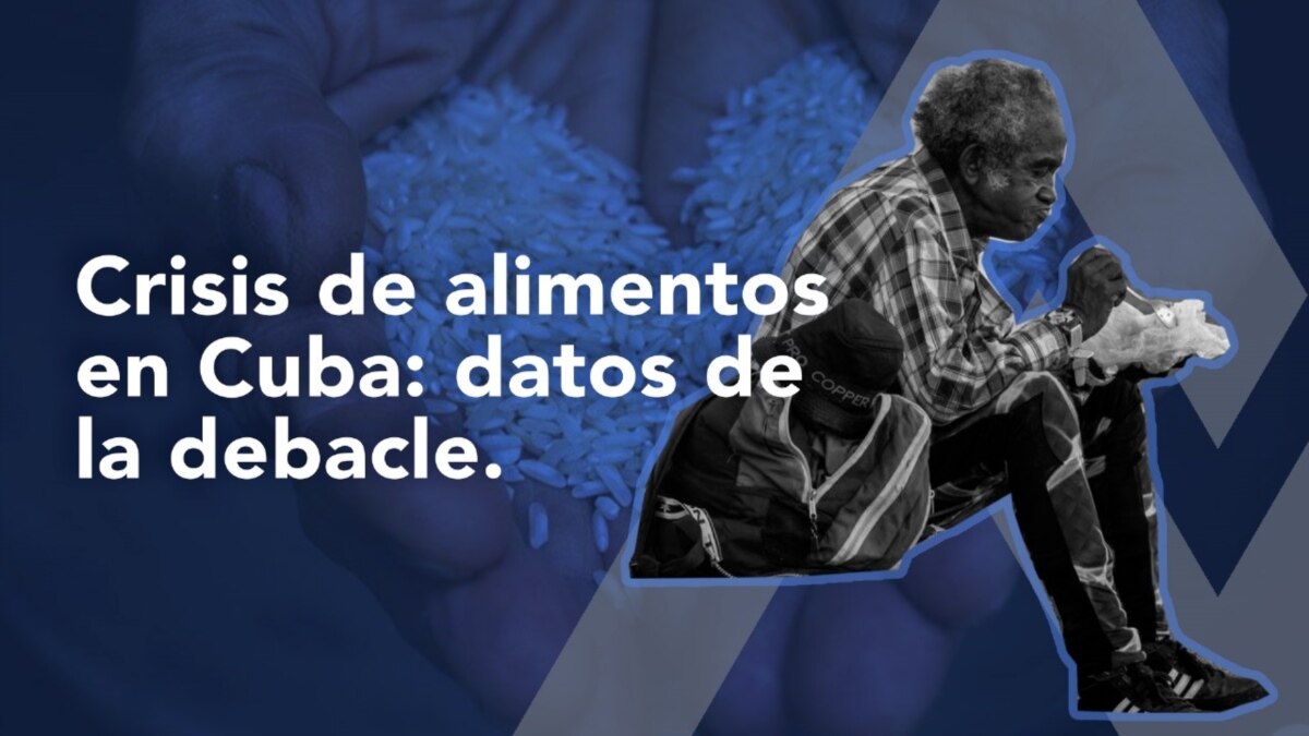 Crisis de alimentos en Cuba: los datos de la debacle