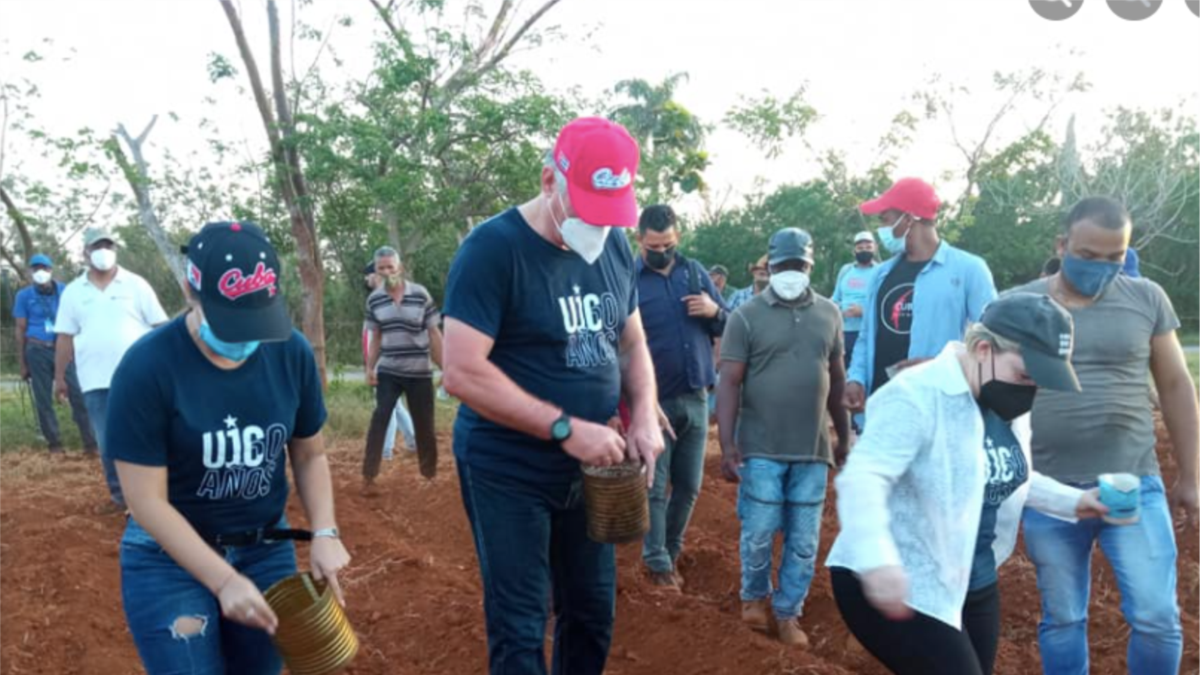 "Una brigada de barrigones sin hacer nada", así ven los cubanos el ...