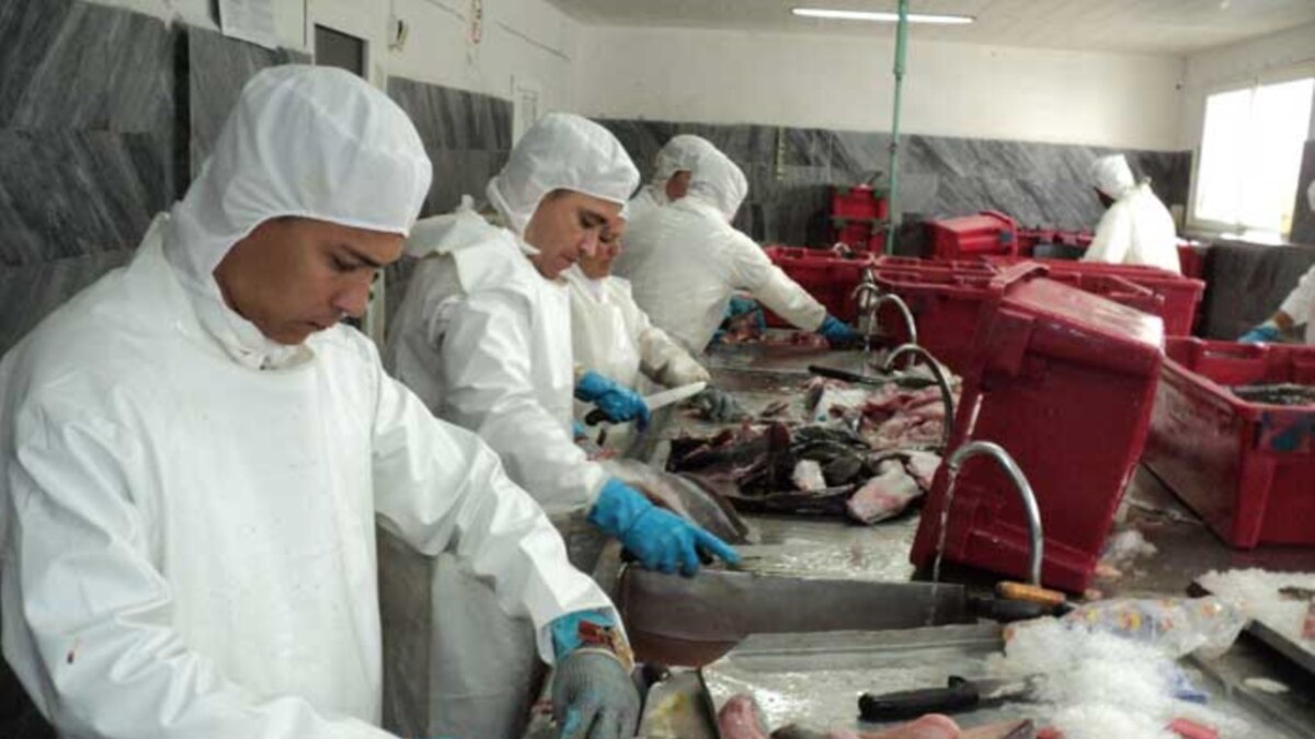 Cuba: La claria nada entre el hambre y el miedo