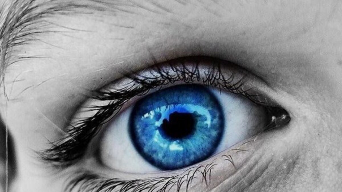 A cambio de un ramito de ojos azules