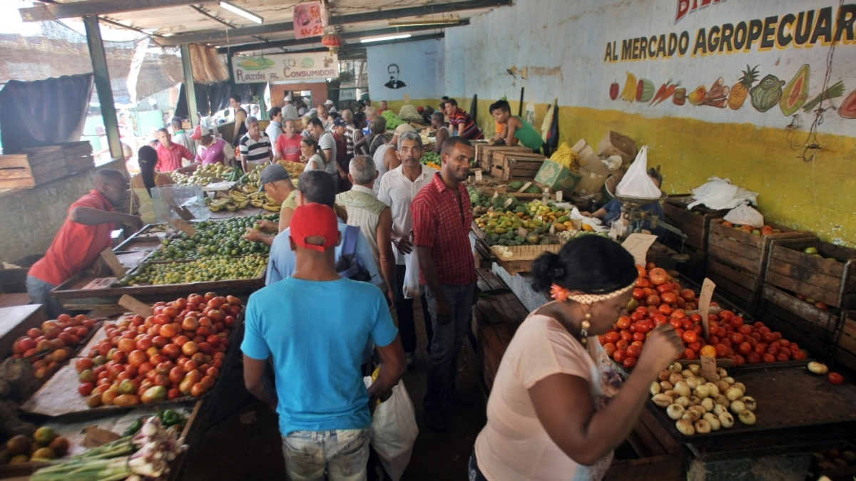 Los precios en el mercado cubano, entre la realidad y los planes