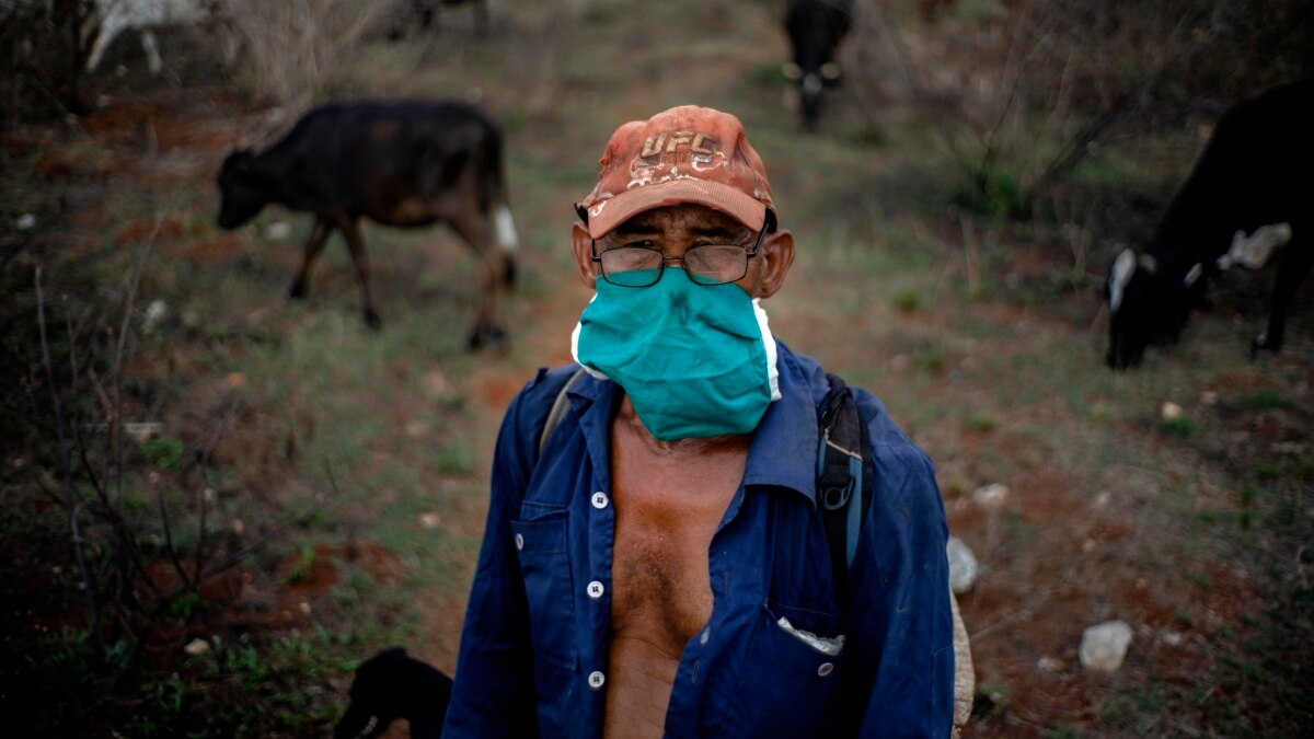 “Sin Campo no hay País”: lanzan campaña para evitar hambruna en Cuba ...